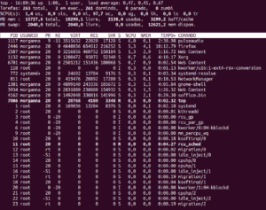 Processo | Guia Linux